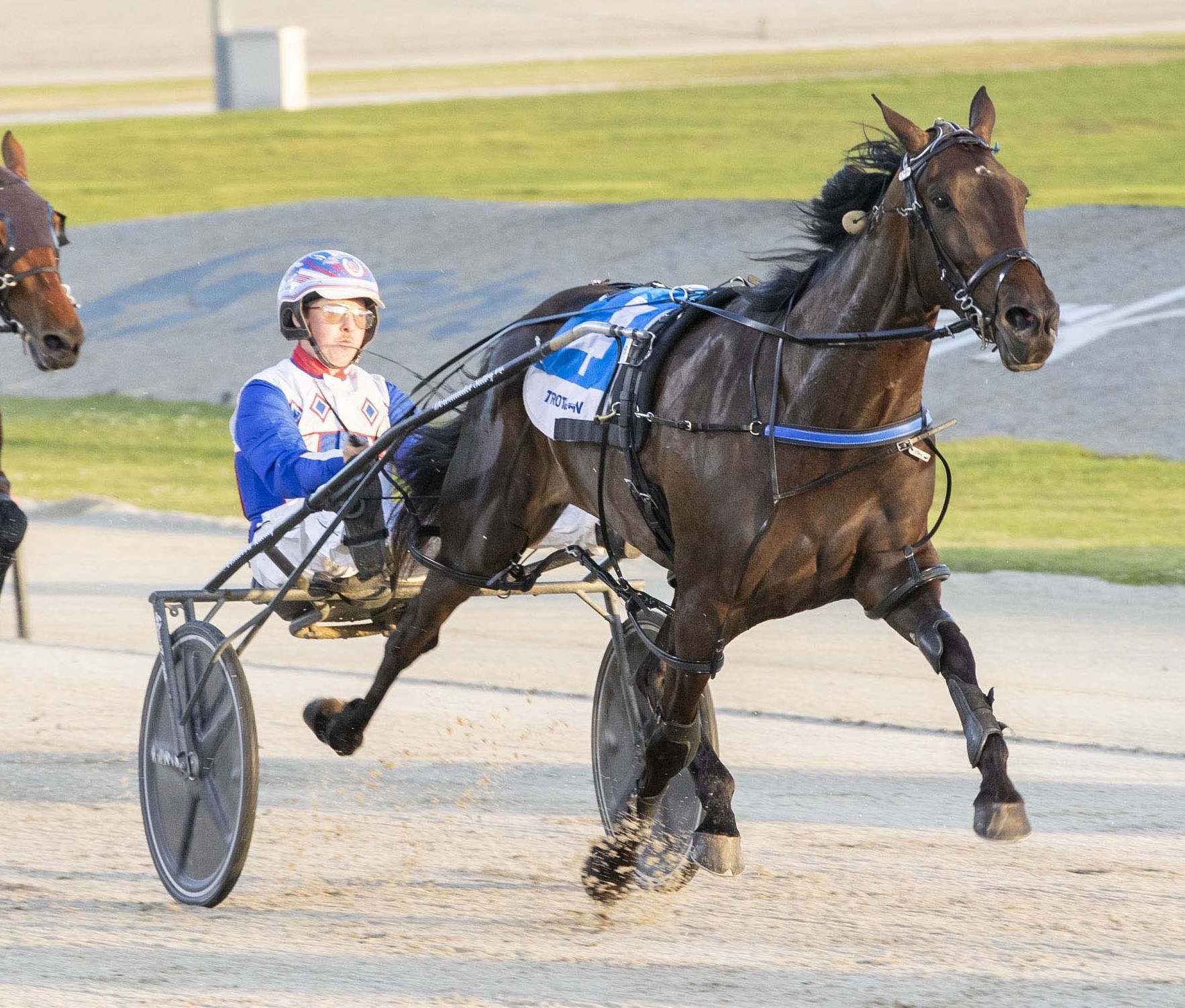 Ashwood sets Tay Tay to turn up the heat at familiar Mildura - Harness ... Ashwood sets Tay Tay to turn up the heat at familiar Mildura - Harness ...